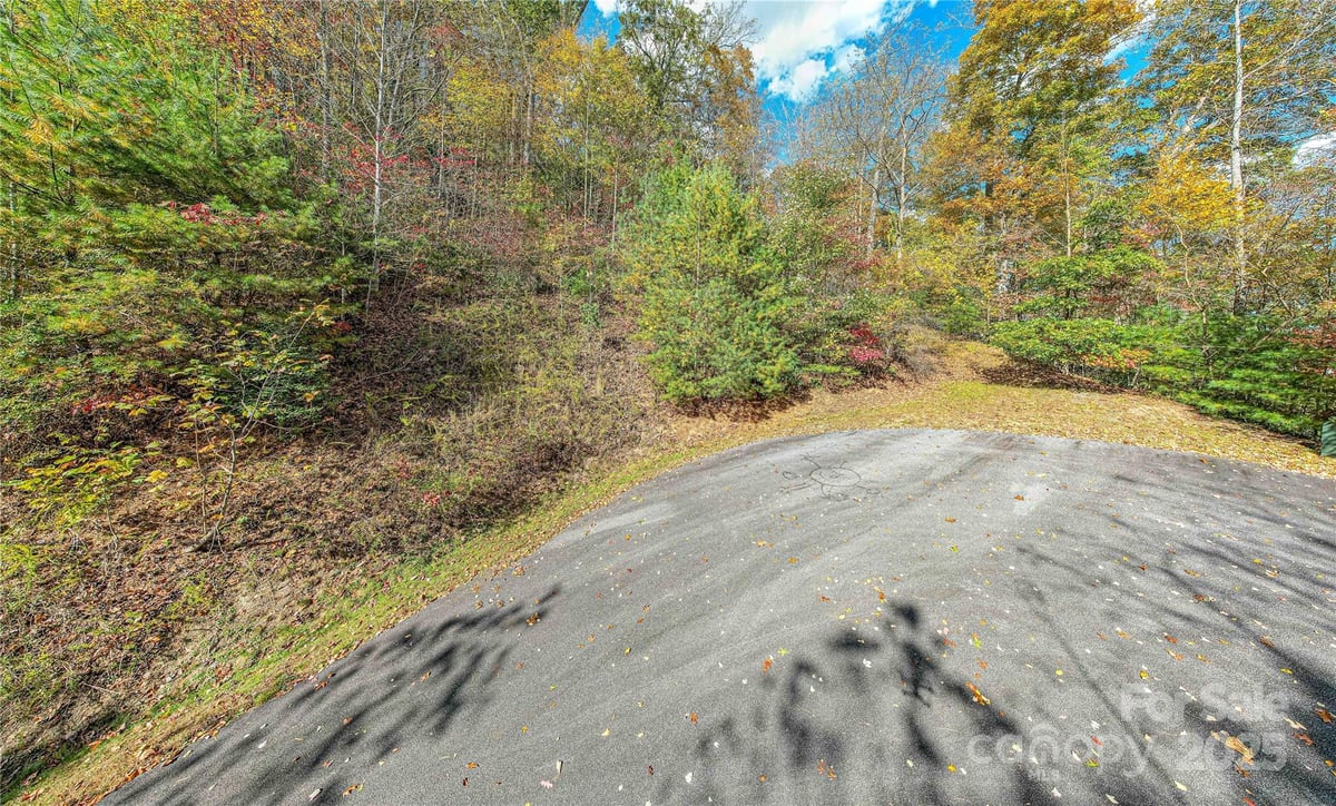 HIGH POINT TRAIL #21, BREVARD, NC 28712 – Connestee Falls Realty