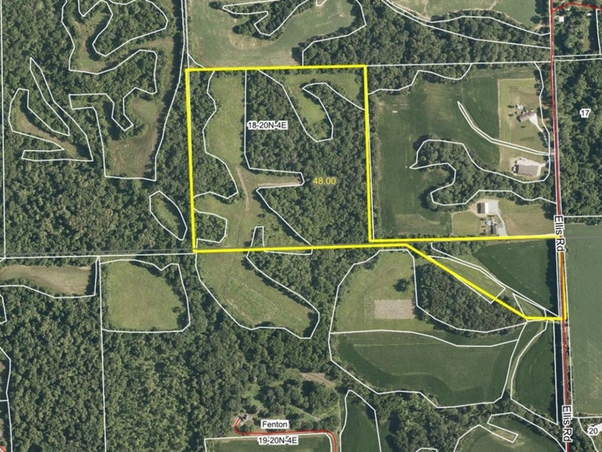 000 ELLIS ROAD, FENTON, IL 61251 | Kophamer & Blean Realty