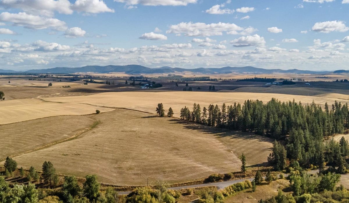 22210 E STRINGHAM RD, ROCKFORD, WA 99030 – Rogue Real Estate
