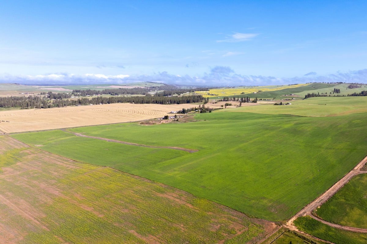 15275 S ANDRUS RD, CHENEY, WA 99004 – Rogue Real Estate